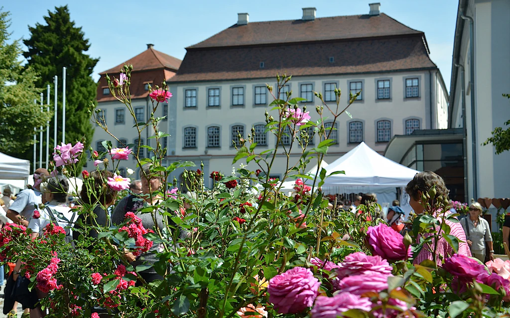 Rosenmarkt beim Schloss Großlaupheim | DONAU 3 FM
