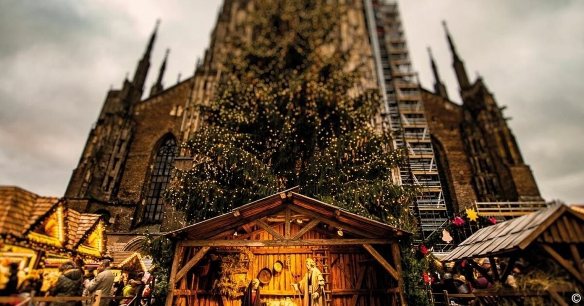 Erstes Wochenende auf dem Ulmer Weihnachtsmarkt: Das ist die Bilanz ...
