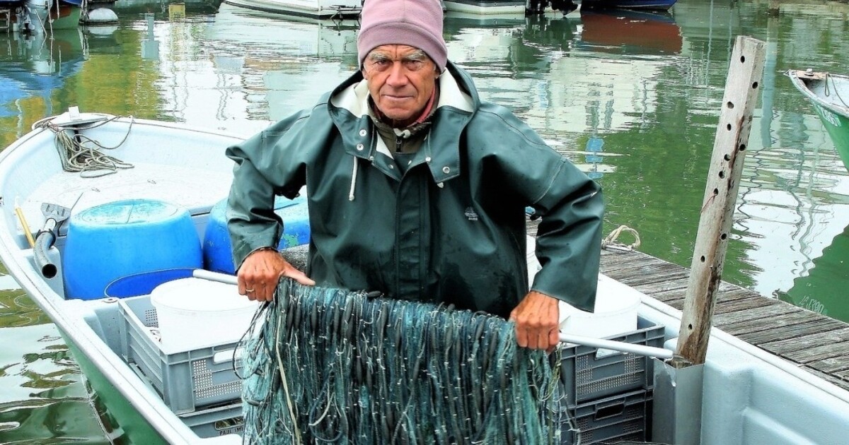 Fischer klagen über zu wenig Fisch im Bodensee | DONAU 3 FM