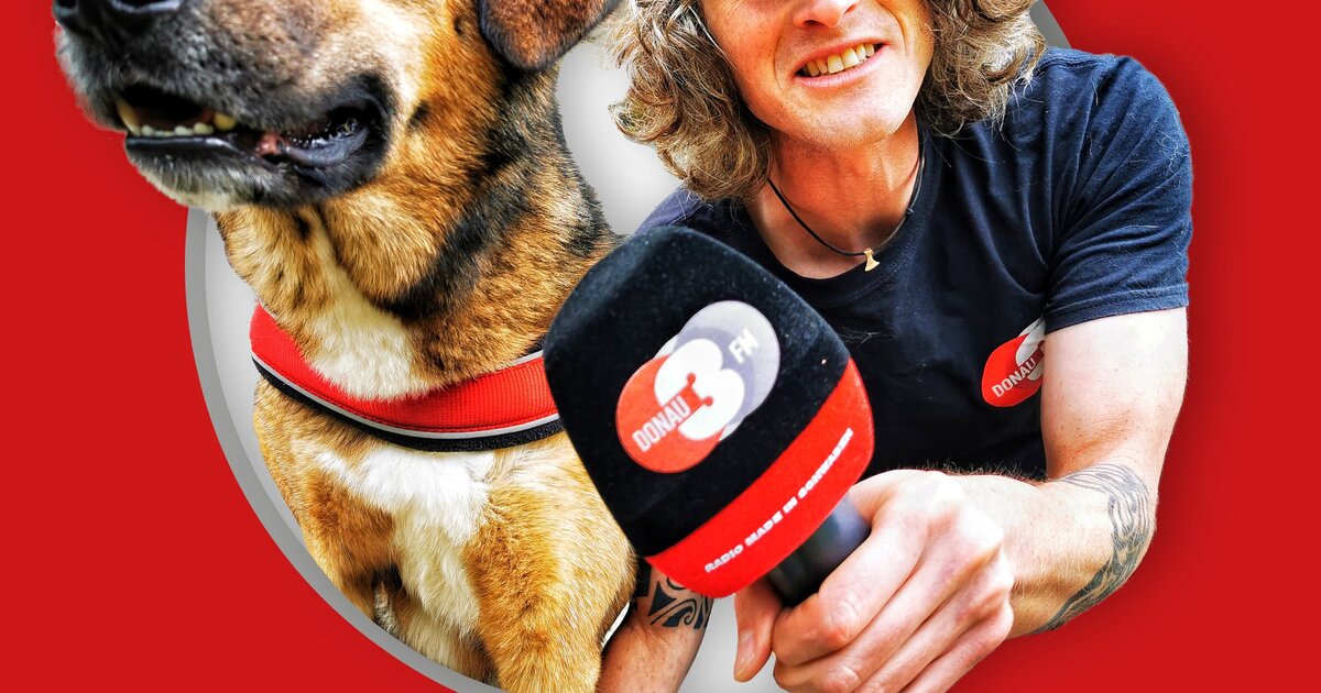 Erste Hilfe beim Hund | DONAU 3 FM